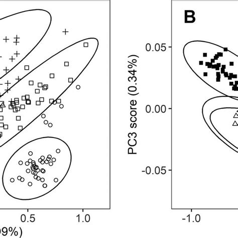 pca cluster analysis for nir spectra of untreated wood with 95 percent