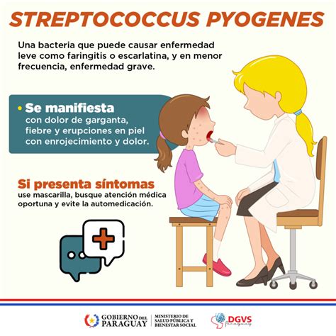 Streptococcus Pyogenes Bacteria Que Causa Infecciones Respiratorias Y