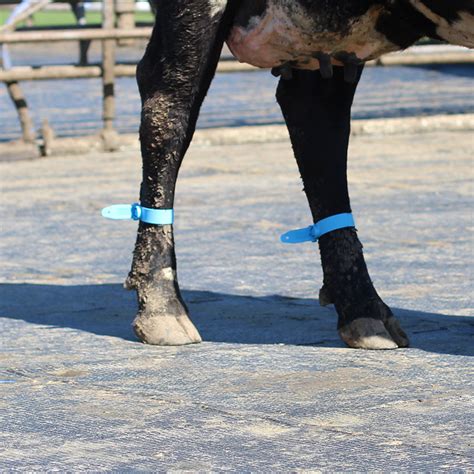 Quick Strap Multi Use Marking Band