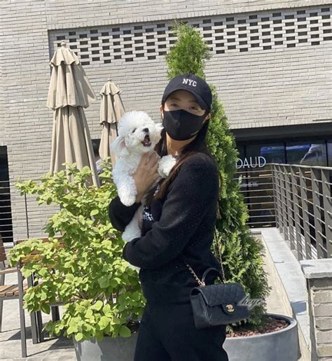 네이버 인플루언서