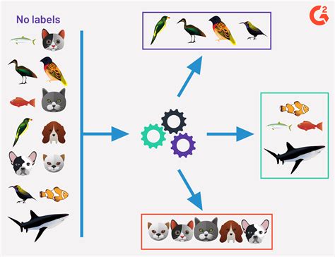Supervised Vs Unsupervised Learning Whats The Difference