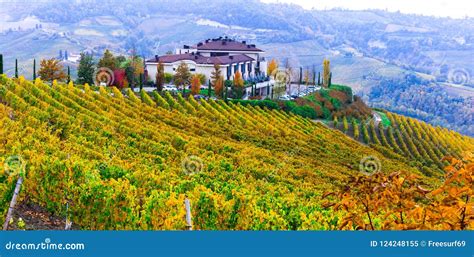 Autumn Landscape With Vineyards In Piedmont Italy Stock Image Image