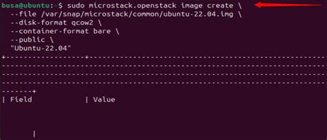 My First Openstack Project Deploying A Vm With Microstack On Ubuntu