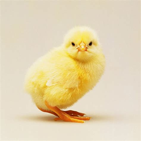 Wendy Mccomb Posted On Linkedin