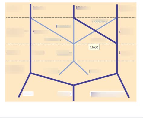 Brachial Plexus Labeling Diagram Quizlet