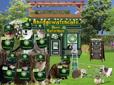 Hedgewatch On Twitter Theres Still An Hour To Go Today At The Hedgewatchcafe With Our New Hedgewatch On Twitter Theres Still An Hour To Go Today At The Hedgewatchcafe With Our New
