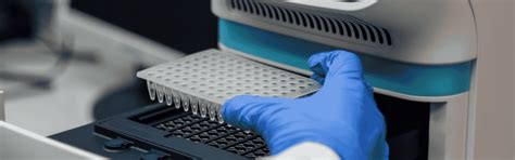 Stem Loop Primers Comparison Short Rna Qpcr Assays