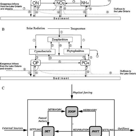 A The Nitrogen Biogeochemical Cycle Of The Model 1 External