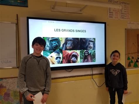 Cm2 Exposés Suite… Ecole Enfant Jésus Aurillac