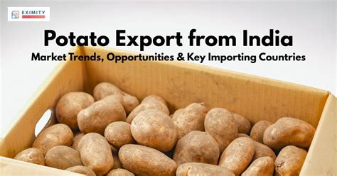 Potato Export From India Market Trends And Opportunities