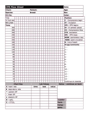 2014 2026 Form Cpr Flow Sheet Blank Fillable Template Fill Out