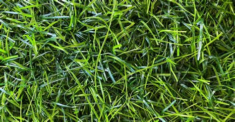 Synthetic Turf Fields Lack Standards But No Moratorium As Chief