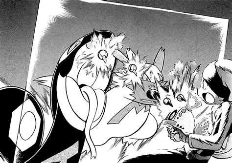 Feebas Pokemon Black