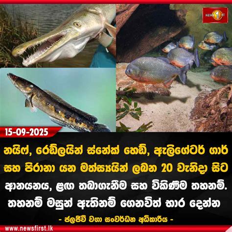 Damindu Wickramasinghe