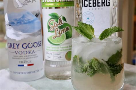 Easy Mint Lime Vodka Mojito Cocktail Recipe Dobbernationloves