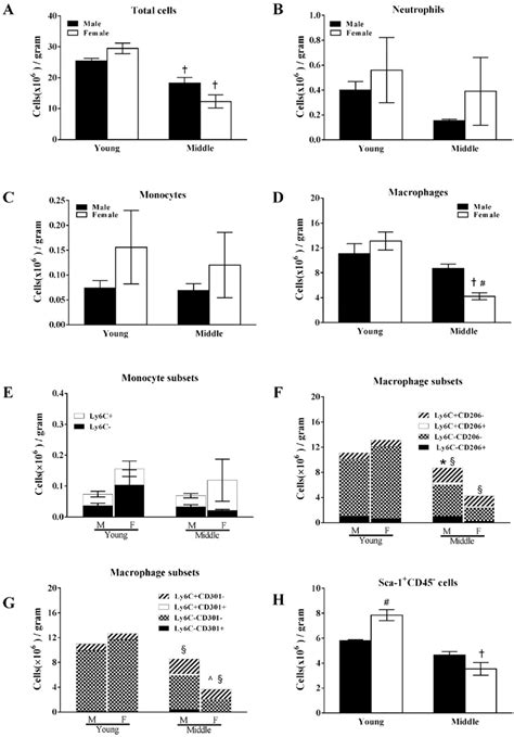 Inflammatory Cell Recruitment And Sca 1 Cd45 − Cells In Young And