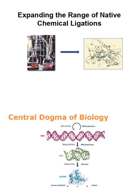 Expanding Native Chemical Ligation Techniques Pdf Biological