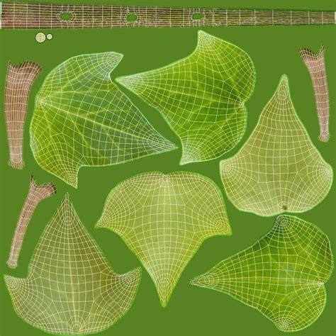 Ivy Leaf 3d Model 29 Fbx Max Obj Gltf Ma Upk Unitypackage C4d Usd Free3d