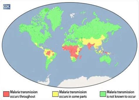 The Approximate Areas Of The World Where Malaria Transmission Occurs