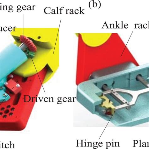 Foot Assembly Structure Design A The Ankle Joint Drive Assembly And Download Scientific