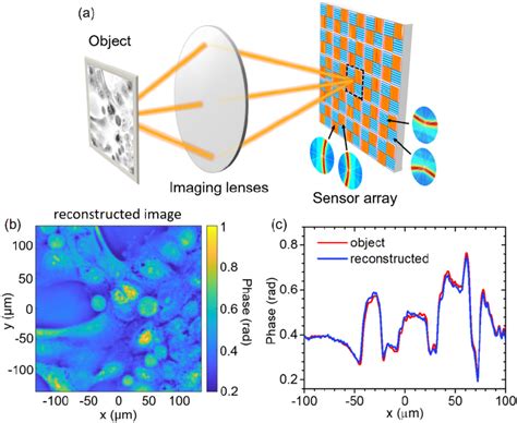Computational Quantitative Phase Imaging Results A Measurement