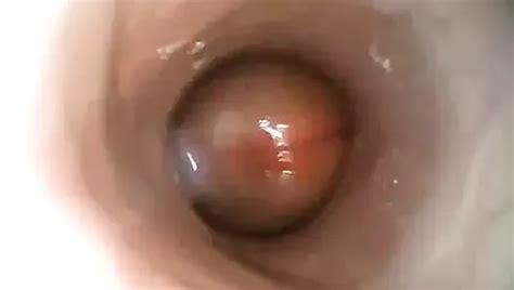 Free Internal Fleshlight Gay Porn Videos Xhamster