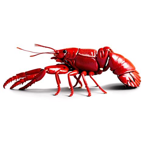 Download Crawfish A
