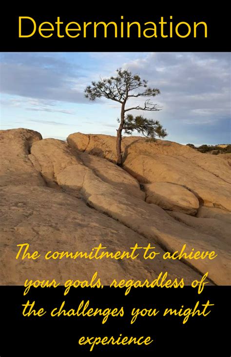 Ds106 Assignments Assignment Types Designassignments