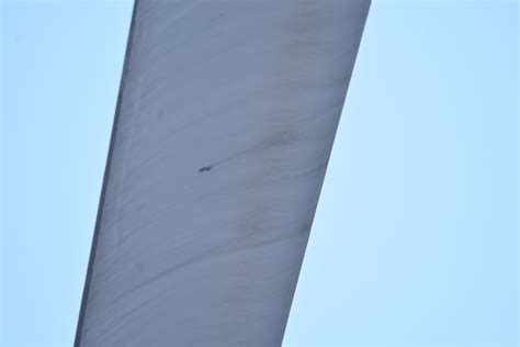 Classification3 Classification Dataset By Machine Learning