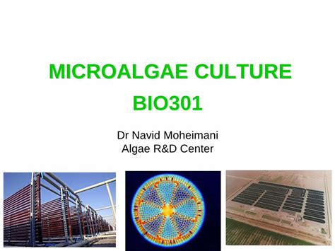Pdf Microalgae Culture Bio301