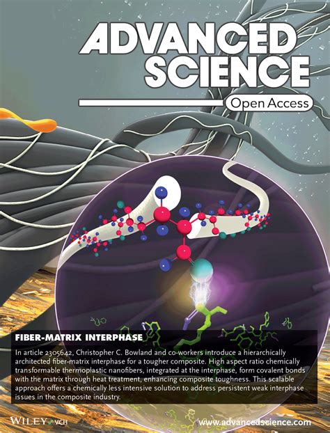 Enhancing Composite Toughness Through Hierarchical Interphase Formation Adv Sci 62024