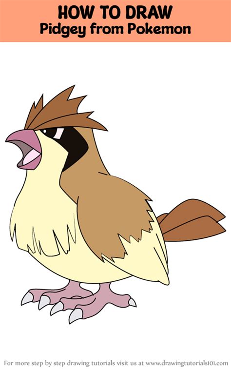 Pidgey Kleurplaten