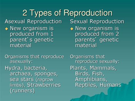 What Are The Two Types Of Asexual Reproduction In Sponges At Deborah
