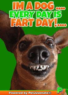 Farting Dog S Tenor