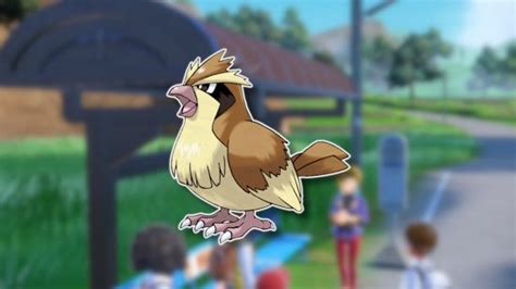 Les Dix Meilleurs Pokémon Oiseaux 2024 Gamingdeputy France