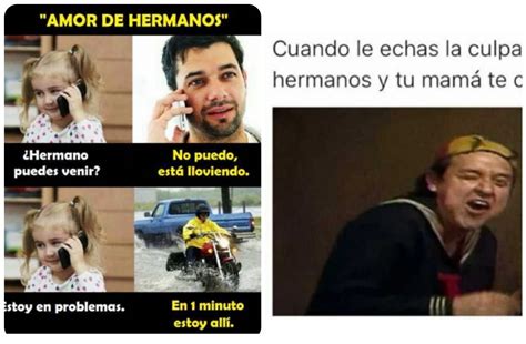 Dia Del Hermano Memes Memes De “gran Hermano” Telemundo Area