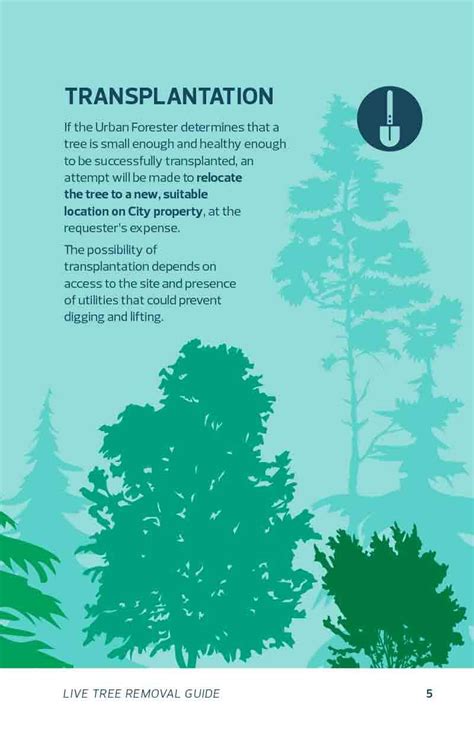 Tree Removal Guidelines City Of Edmonton — Bucketduck Inc