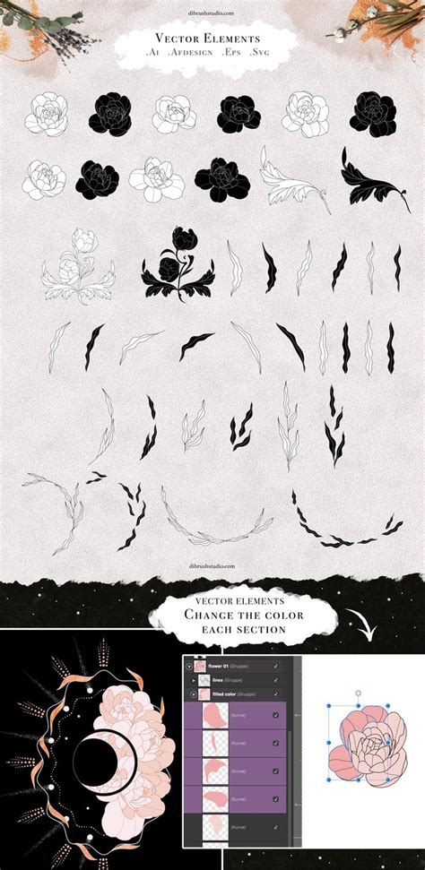 Cassiopeia Clipart And Vector Set