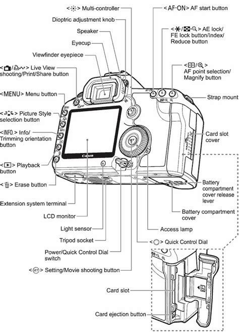Drawing And Digital Camera Labeled
