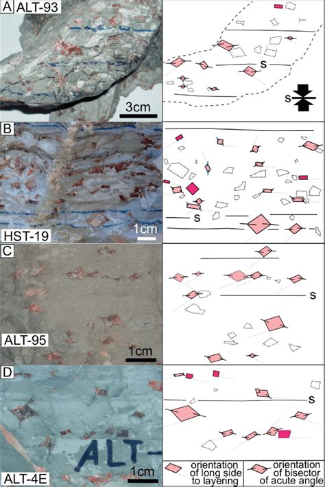 Displacive Halite Crystals In Their Relation To The Sedimentary