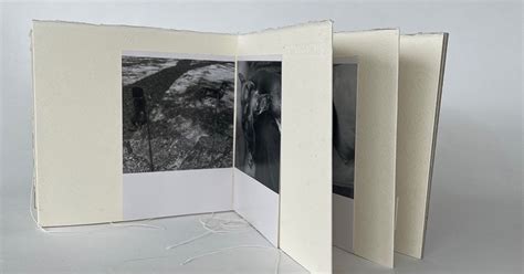 Ana Alvim Cave Canem 2023 FascÍnio Da Fotografia