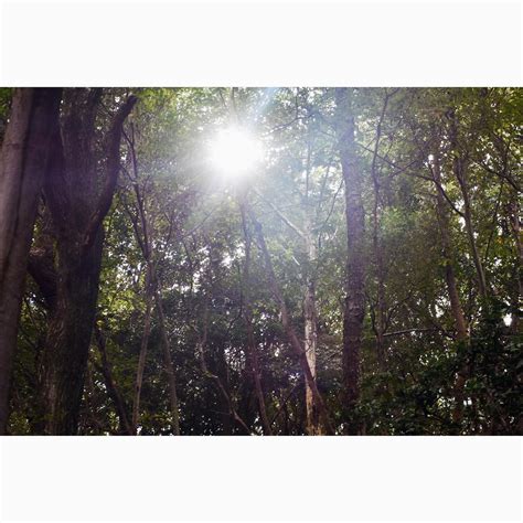 府中町公式fuchutownofficial 府中町をイメージした楽曲を！／ 府中町のオリジナルソングを作曲するため、広島を拠点に活動するバンド、plic Ploc（プリックプロック