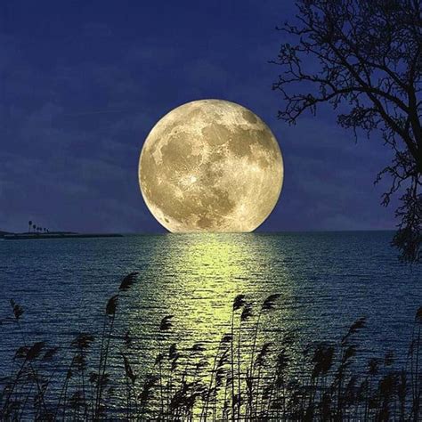 Most Beautiful Moon Beautiful Moon Wallpapers For Android Apk