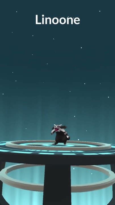 Zigzagoon Evolve Youtube