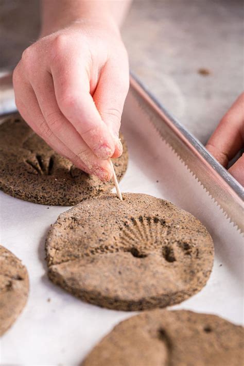 Coffee Ground Fossils Salt Dough Tutorial Crafts By Amanda