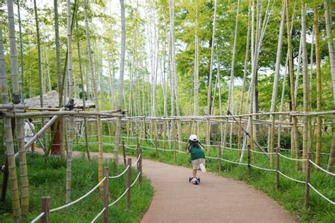 부산 아이들과 가볼만한곳 부산시민공원 물놀이 분수 아기랑 갈만한곳 네이버 블로그