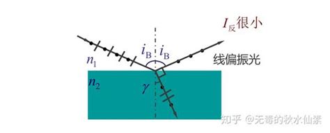期末物理复习（72）——光的偏振 知乎