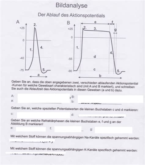 Figure 2 Mt2 Diagram Quizlet
