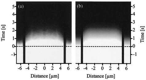 Comparison Between Experimental Traces And Simulation A