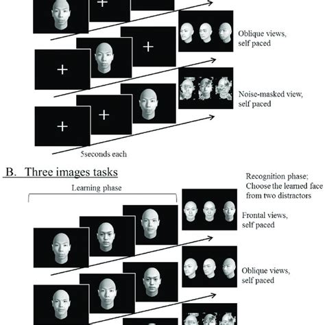 Procedure Of The Multiview Face Recognition Test Participants Were